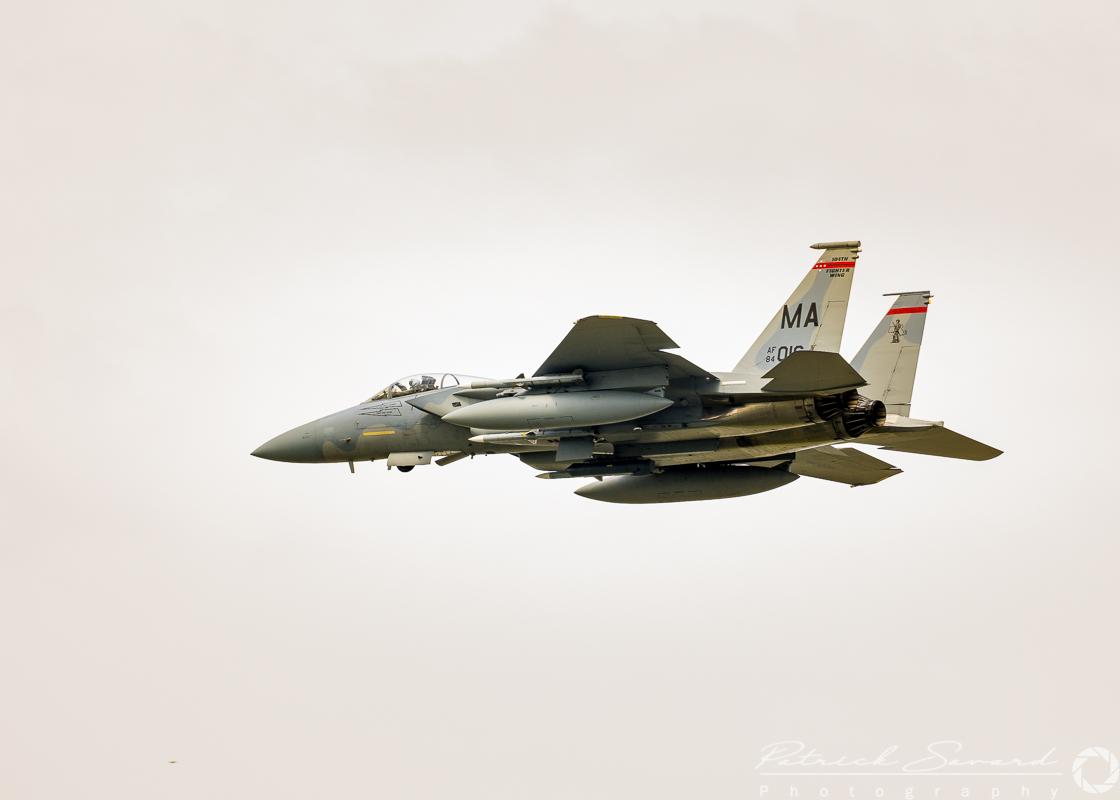 Fighter – Patrick Savard