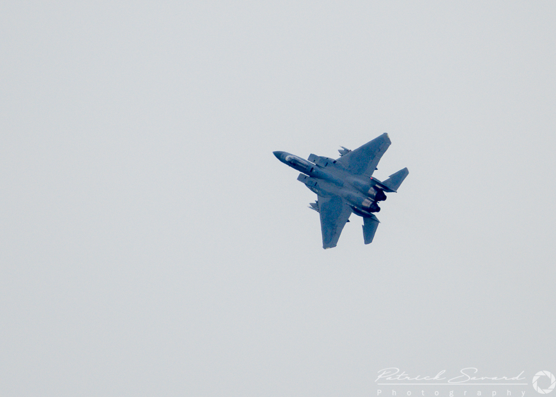 Fighter – Patrick Savard